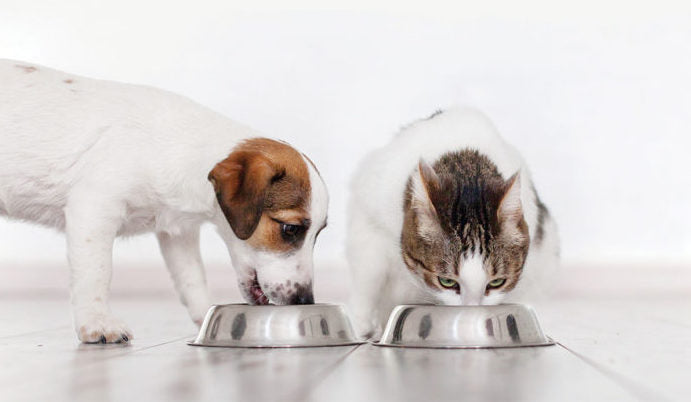 Safe handling of pet food - dry, wet and RAW! – Poppy's Picnic