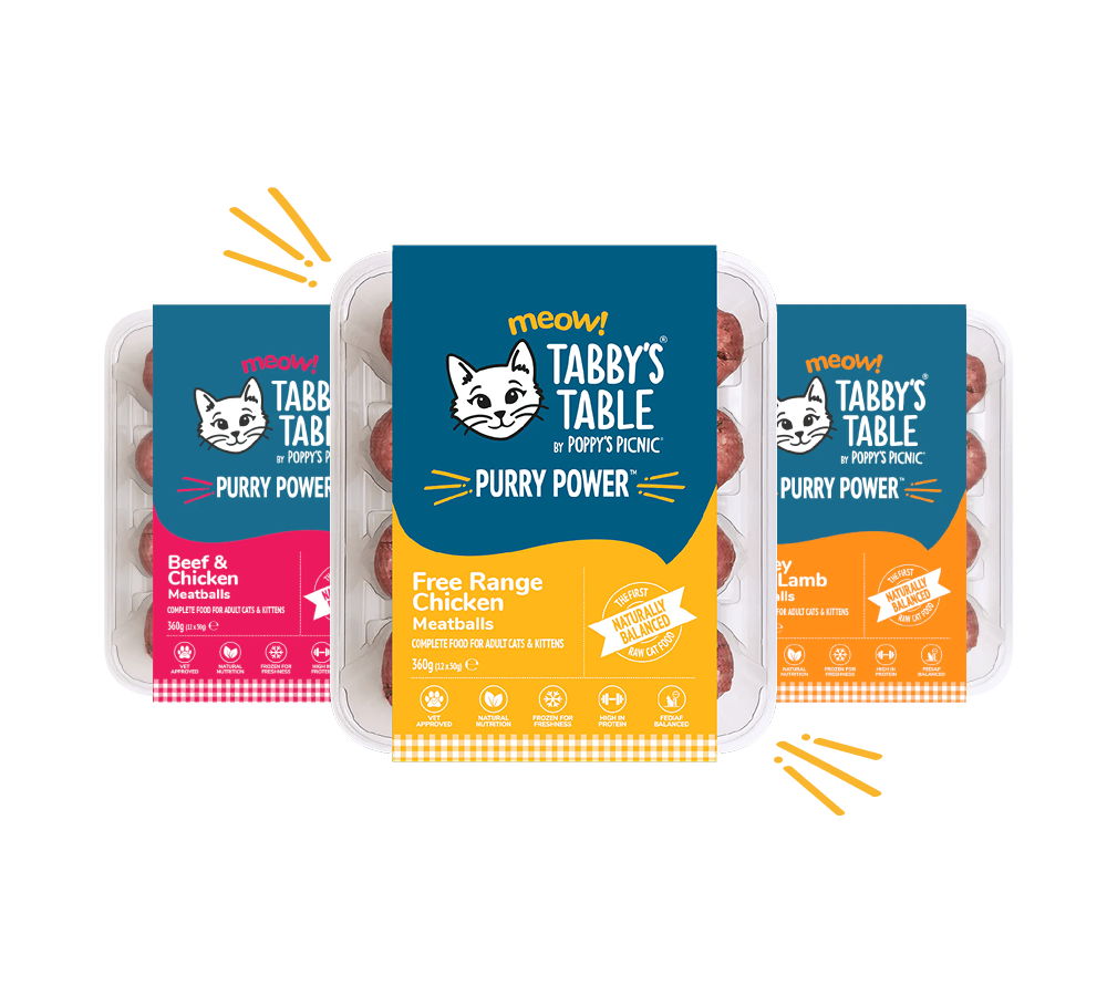 Nutritious Raw Meatballs for Cats to Boost Wellness – Poppy's Picnic