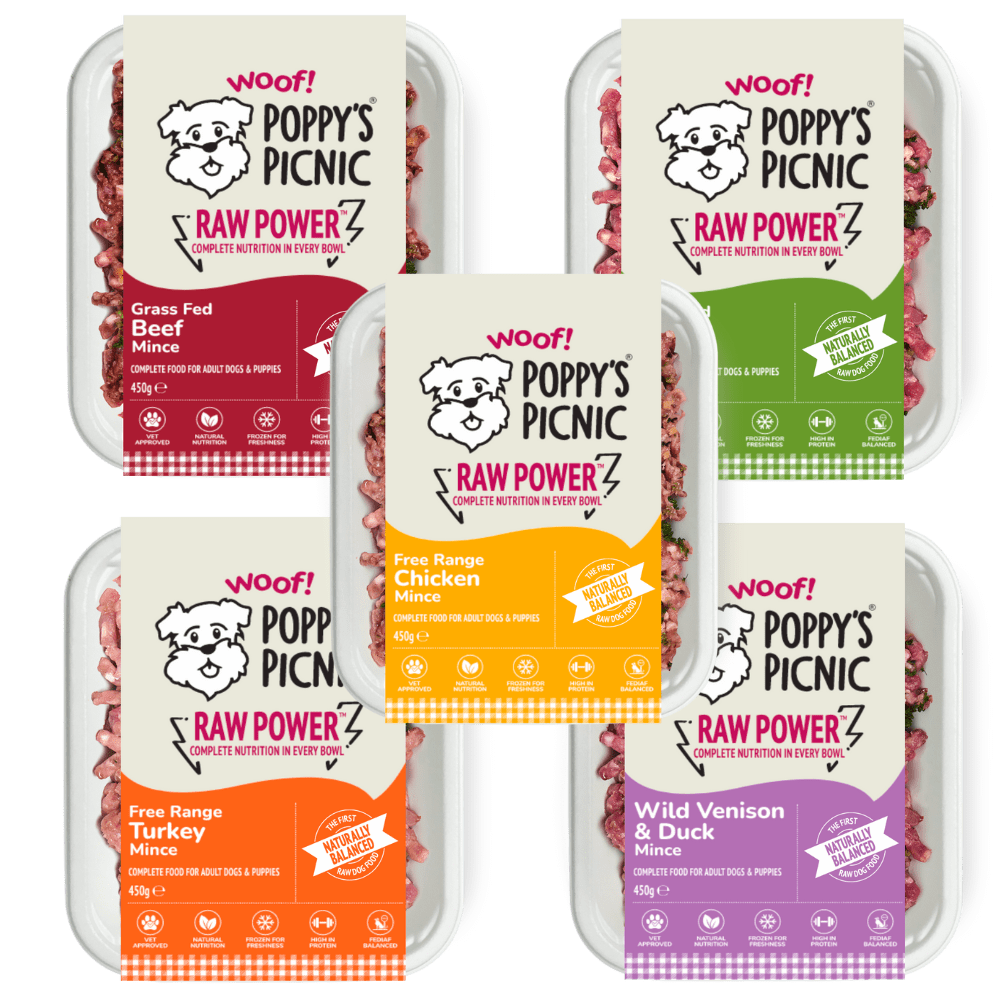 Beef, Chicken, Lamb, Turkey and Venison & Duck RAW POWER Mince – Poppy ...